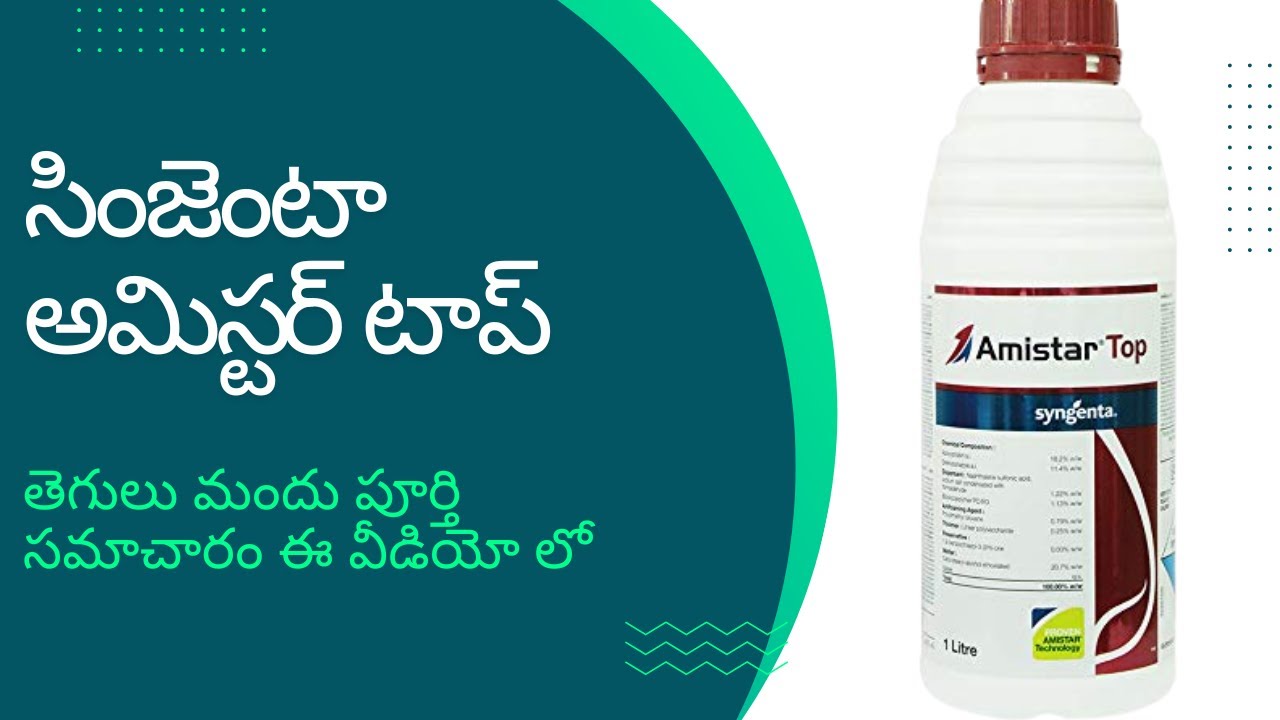 Syngenta Amister Top Fungicide | Azoxystrobin 18.2%, Difenoconazole 11. ...