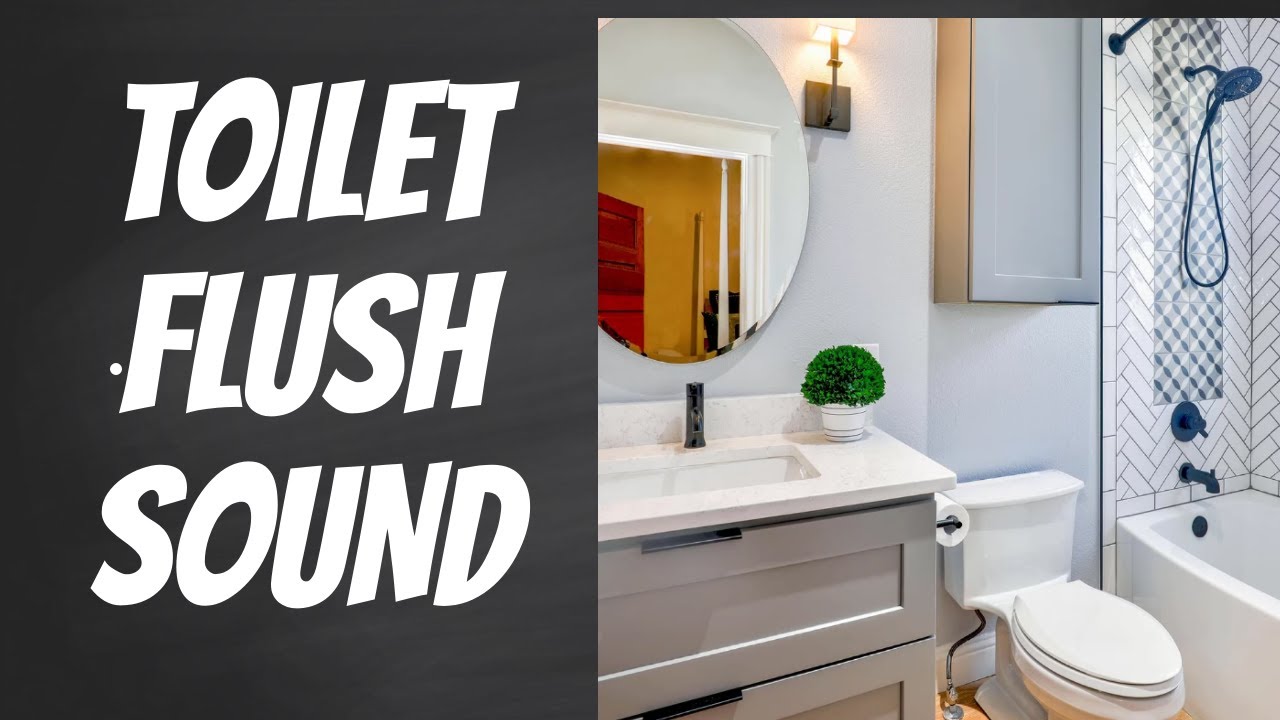 The Sound of a Toilet Flush - YouTube