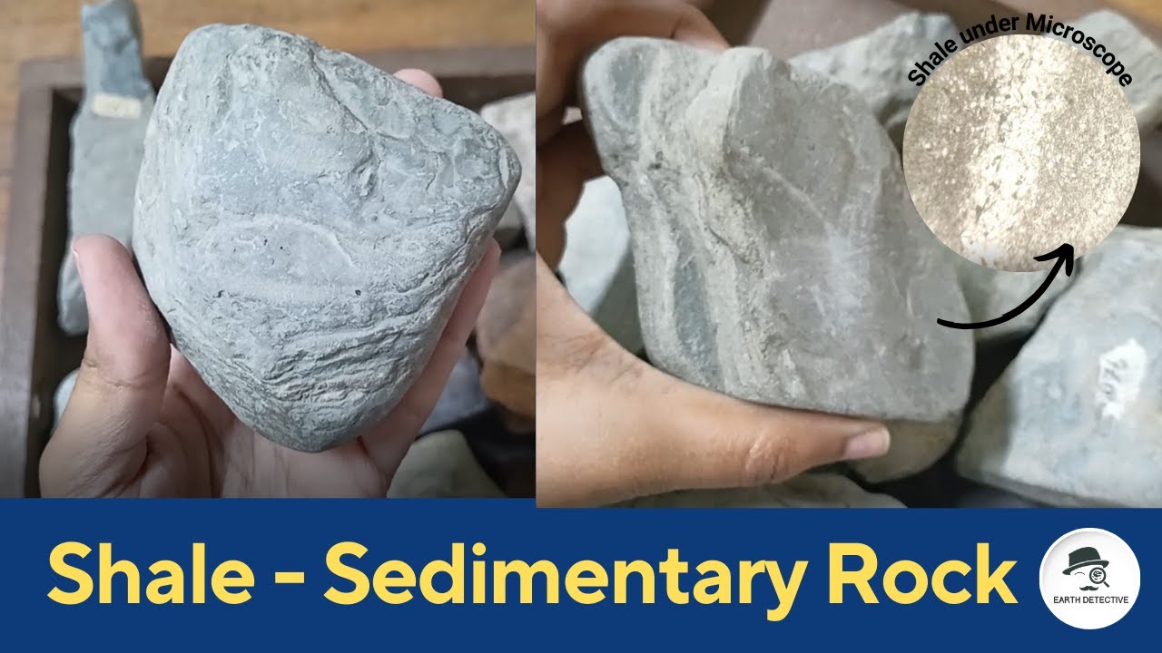 Shale Sedimentary Rock Identification | Petroleum Geoscience | Earth ...
