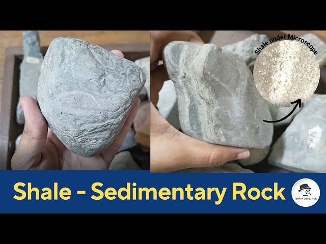 Shale Sedimentary Rock Examples