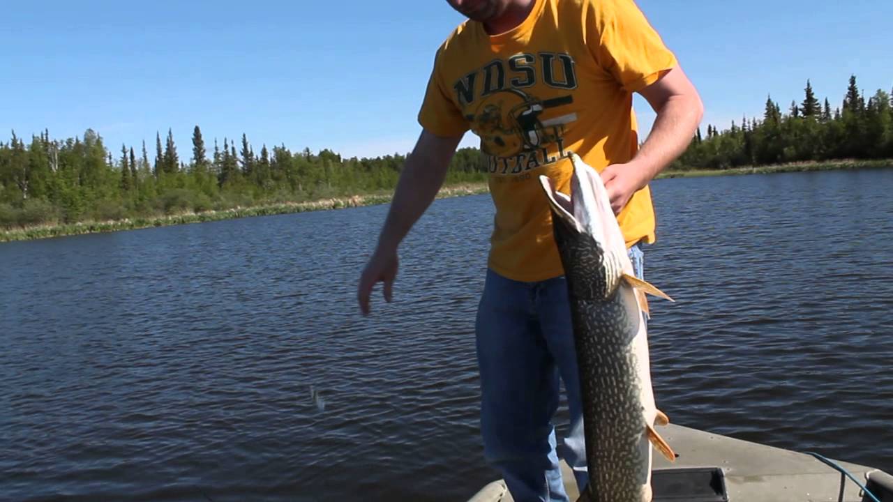Trout Rock Lodge Great Slave Lake - YouTube