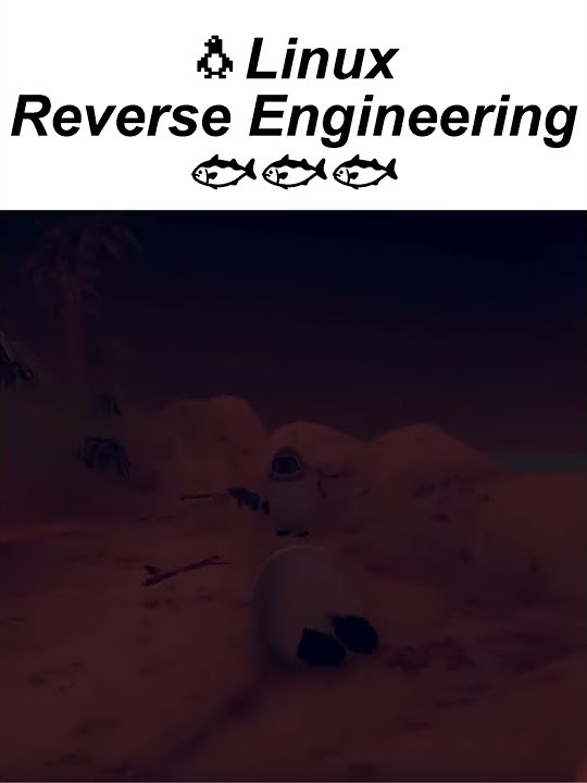 Linux reverse engineering - Screentux - YouTube