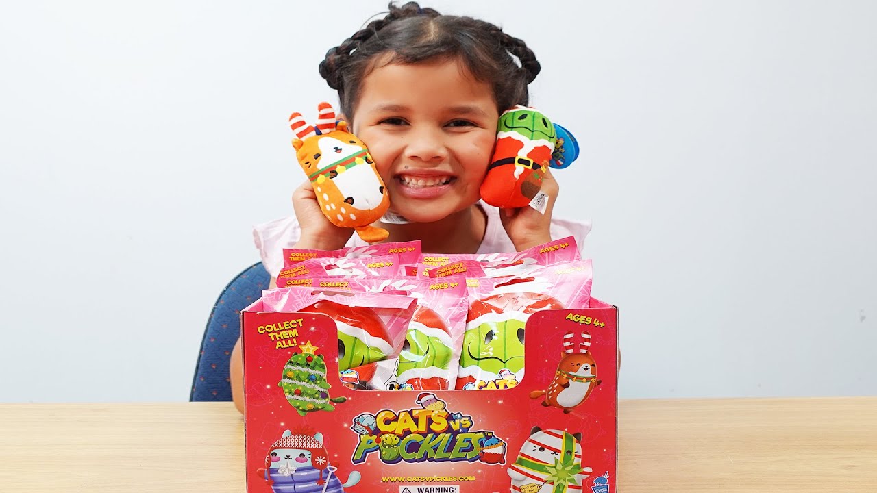 Zoe Opens Cats Vs Pickles Christmas 2022 Edition Beans Plush With Rare ...