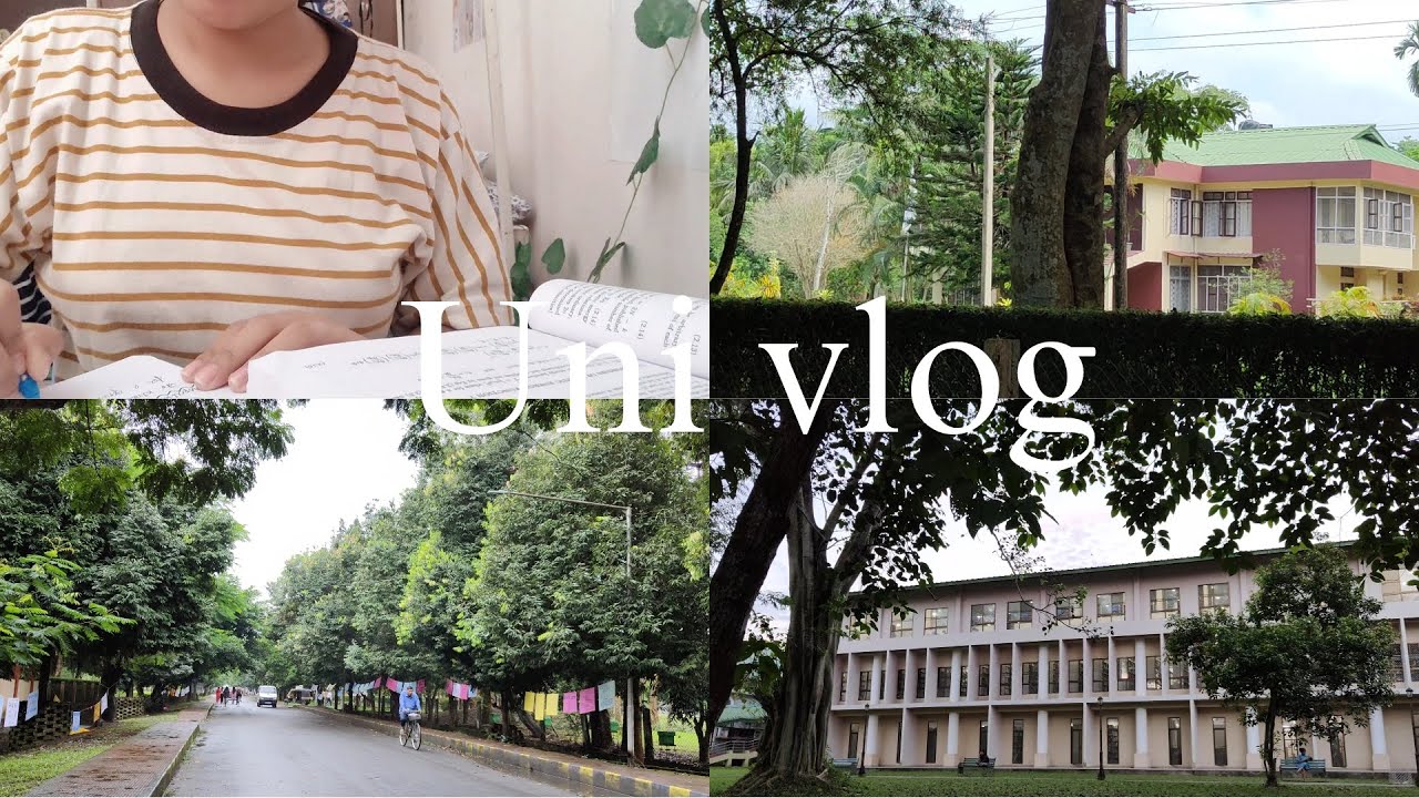 Indian Uni vlog 📚। Study at uni library। election day 🌿 - YouTube