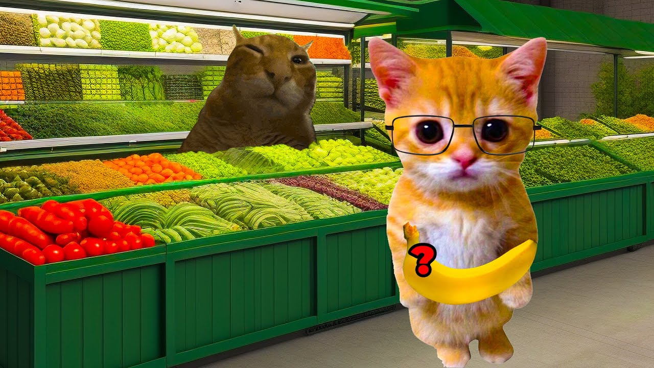 BANANA CAT 🍌🐱 TURNED INTO A REGULAR BANANA 🍌 BECAUSE OF ALIEN CAT 👽😼 ...