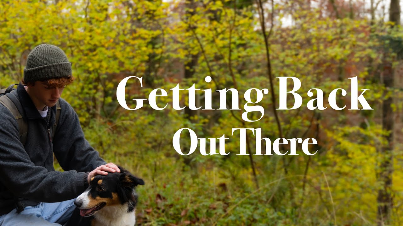 Woodland Photography: Getting Back Out There - YouTube