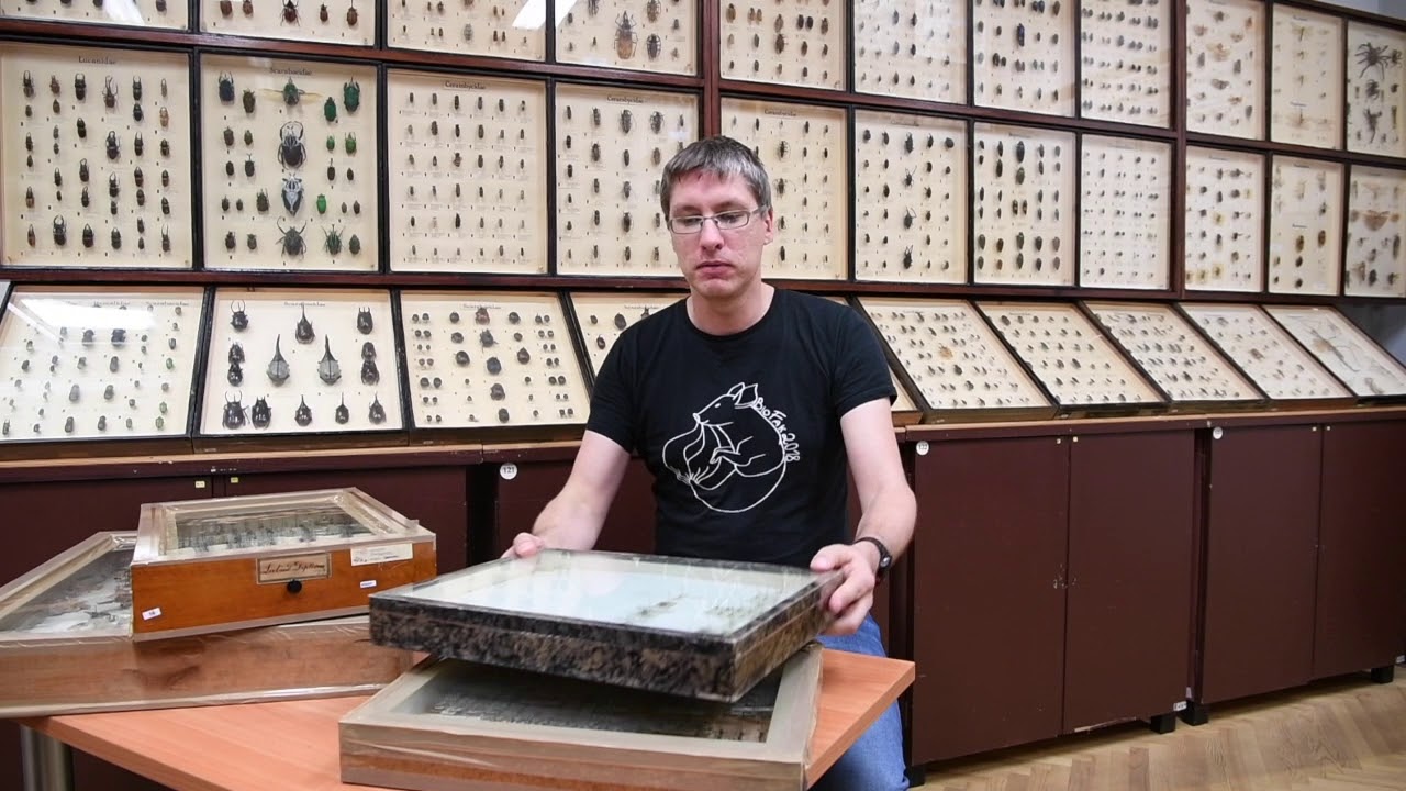 ''LU Zooloģijas muzejam 100'': M.biol. Kristaps Vilks - YouTube