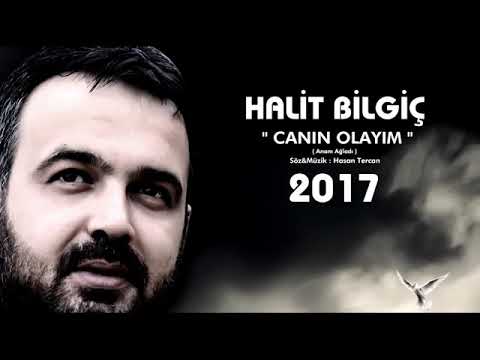CANIN OLAYIM EY YAR