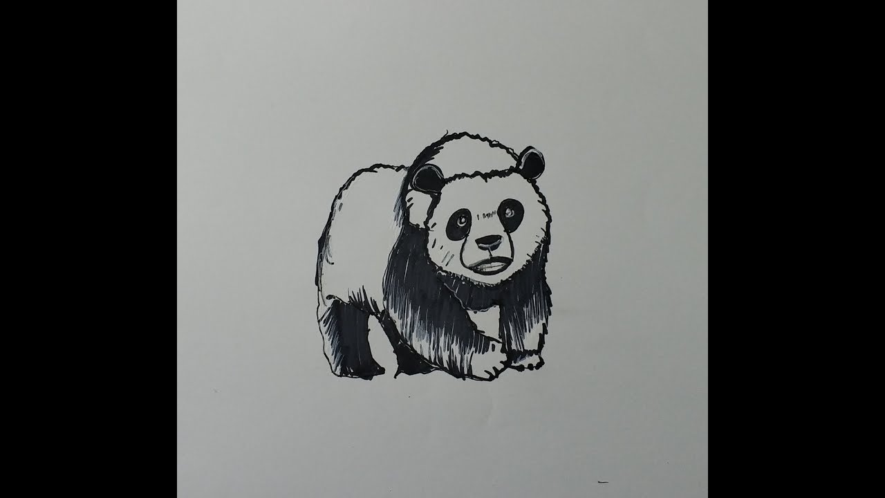 PANDA ÇİZİMİ / PANDA NASIL ÇİZİLİR / KOLAY PANDA ÇİZİMİ - YouTube