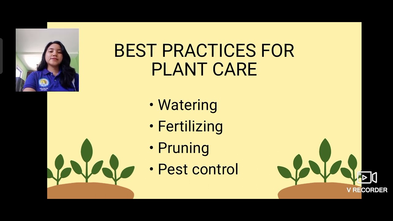 PLANTING ORNAMENTAL PLANTS (EPP) - YouTube