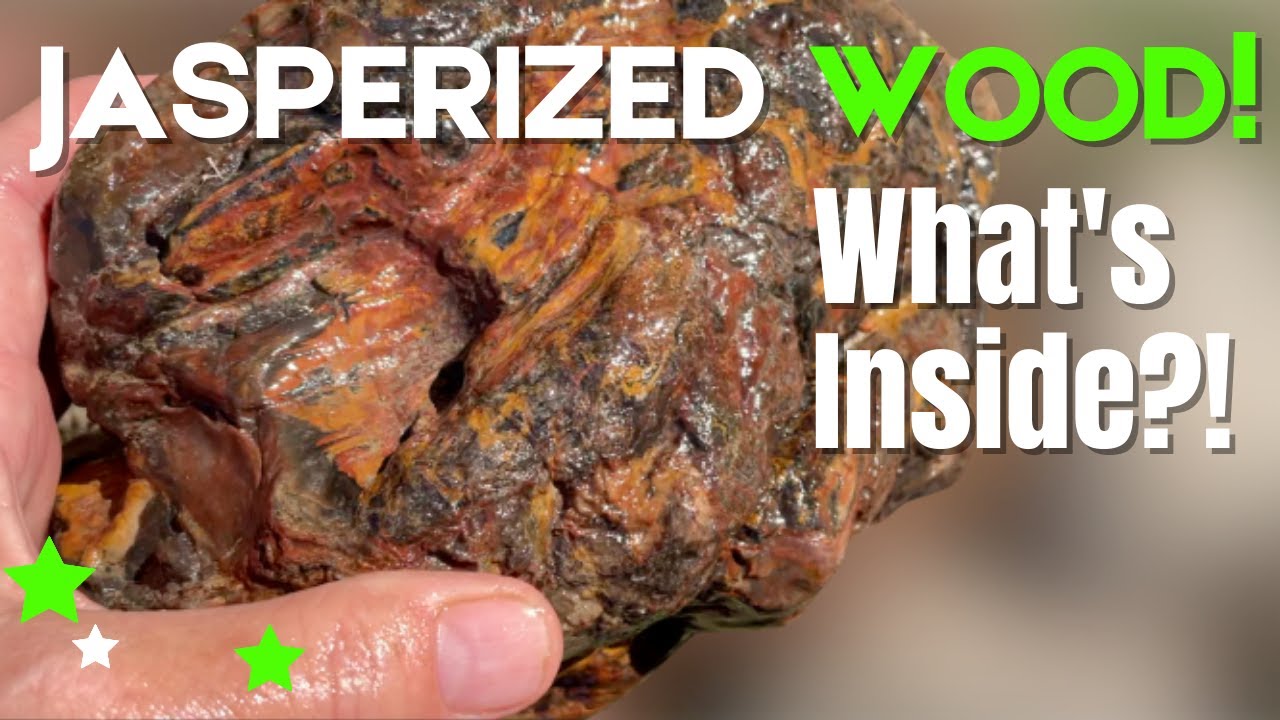 Finding JASPERIZED WOOD: What's Inside?! Beautiful Fall Rock Hunt on ...