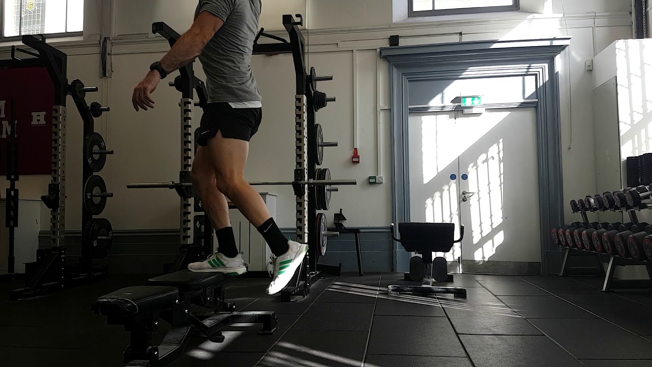 DB reverse lunge step up. Contralateral Press - YouTube