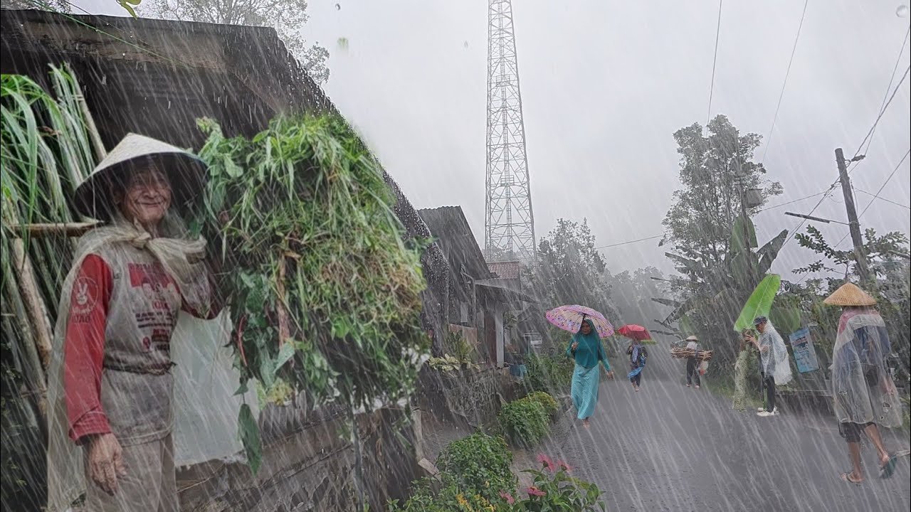 Super Heavy Rain and Strong Thunder Sound | Walking in Heavy Rain hit ...