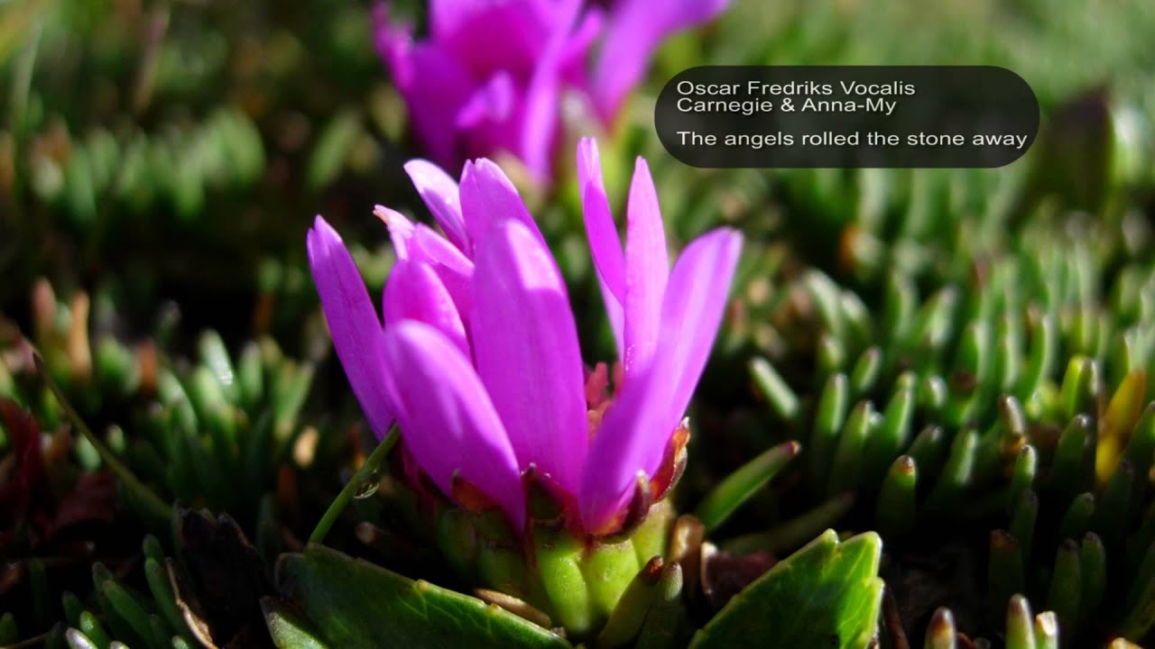 The angels rolled the stone away - YouTube