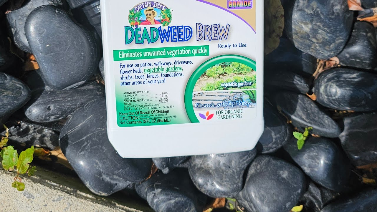 Dead Weed Brew Concentrate for Weeds and the Unwanted Grass - YouTube