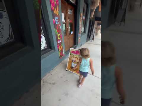 Chill sloth in Wiggins Mississippi #vlogs - YouTube