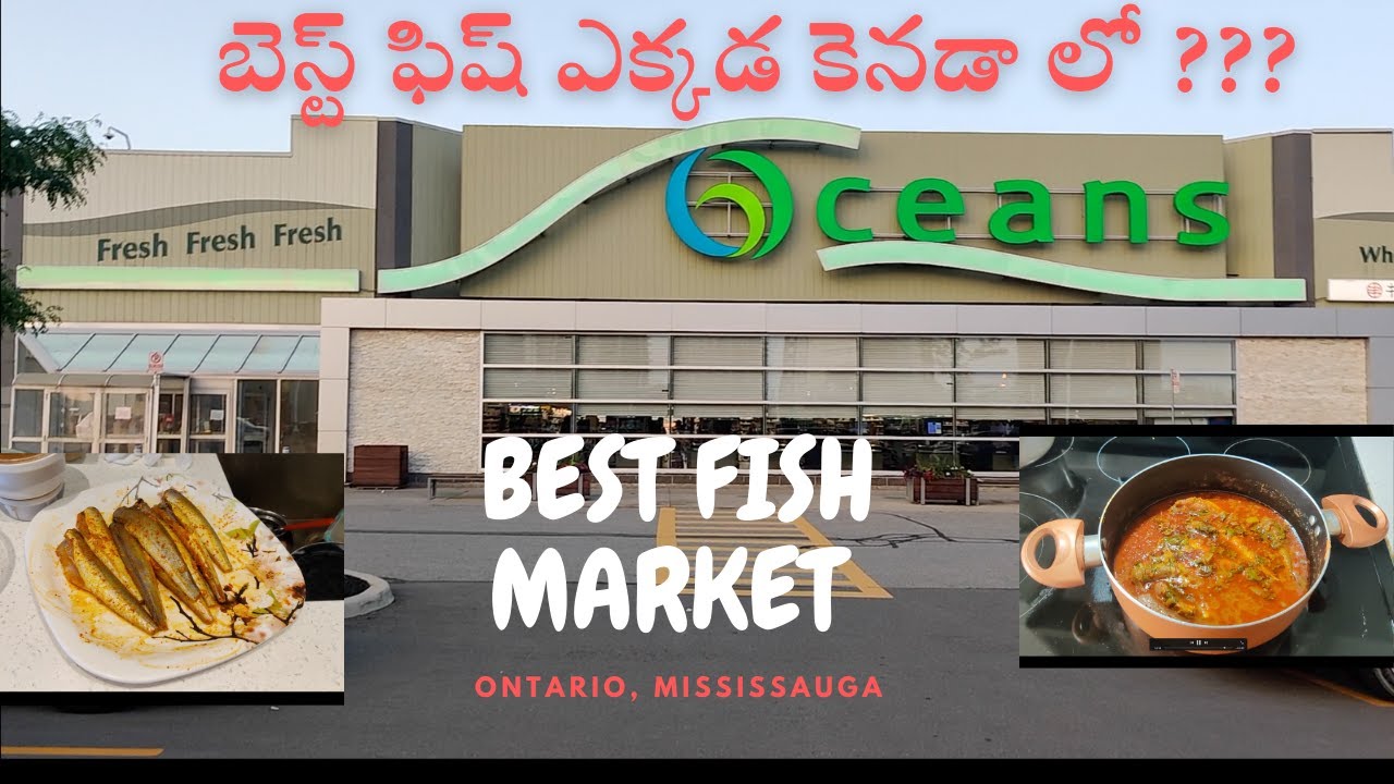 Best Fish Market in Canada | OCEAN store in Mississauga | Canada Telugu ...