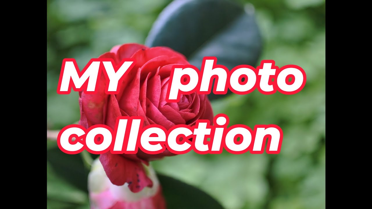 my photo collection - YouTube