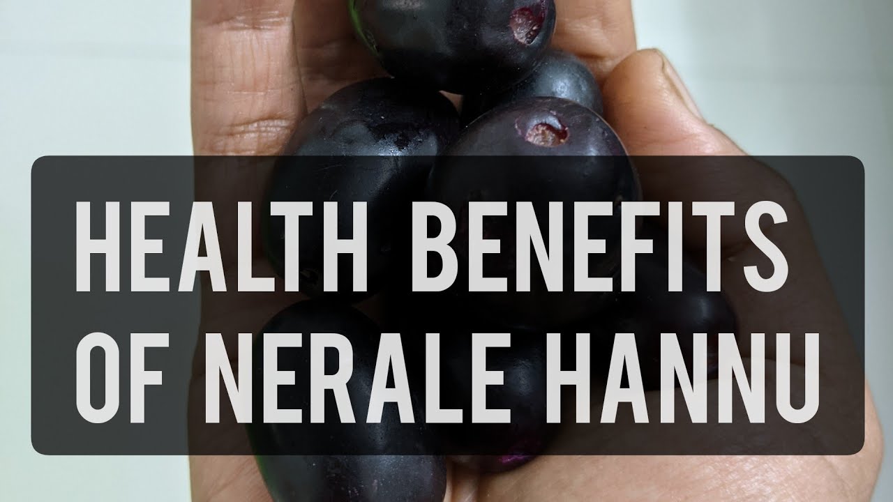 Health Benefits of Nerale Hannu/ Black Plum - YouTube