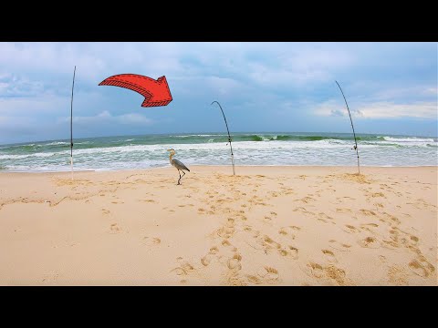 Locating BEACH Structures to CRUSH Fish!! **MONSTERS**