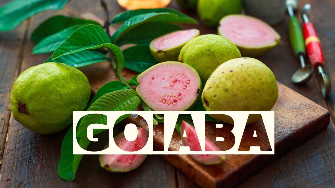GOIABA: 10 benefícios, para que serve e como usar (com receitas ...