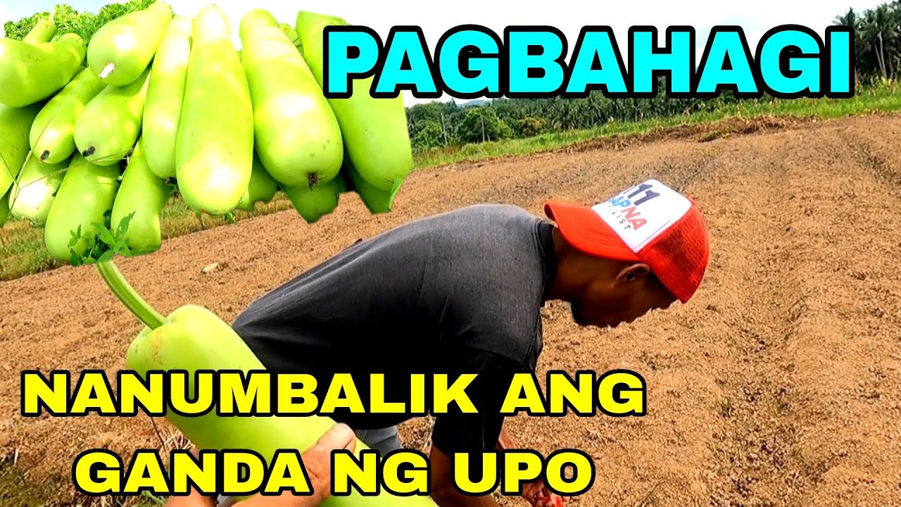Na numbalik ang ganda ng ating upo Pag bahagi - YouTube