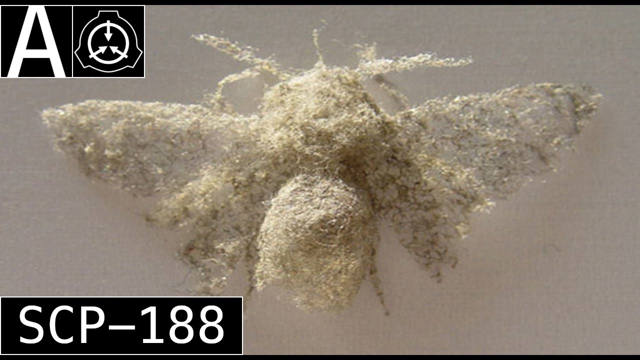 SCP-188 "The Craftsman" [SCP Wikidot] - YouTube