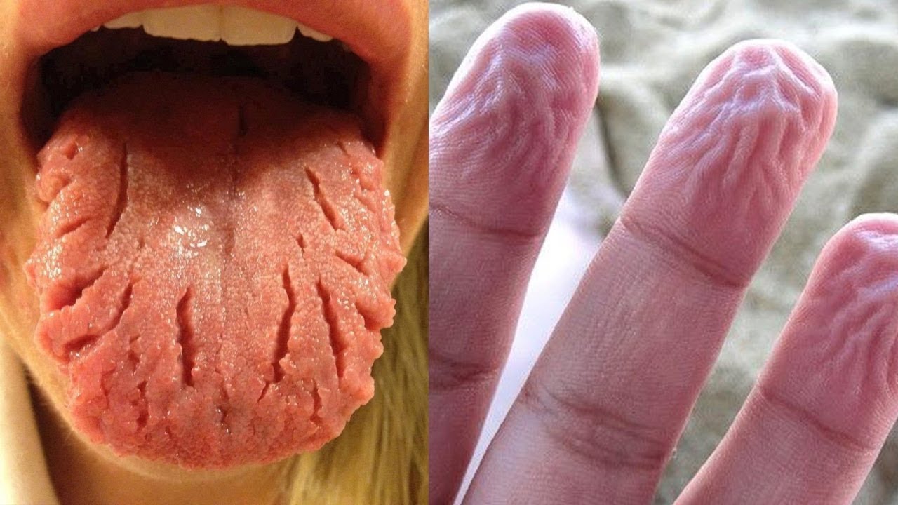 5 5 Weird Things You Didn t Know 5-5-weird-things-you-didn-t-know