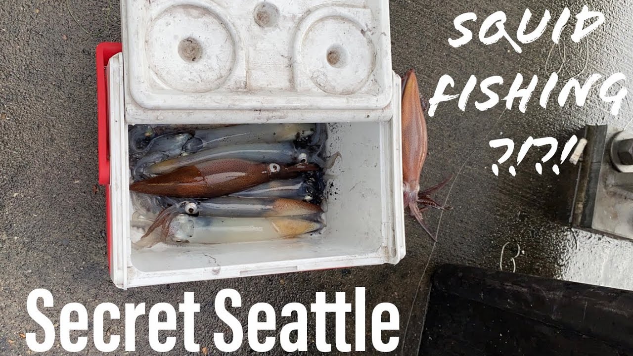 Secret Seattle - Squid Fishing?!?! Ep 01 - YouTube