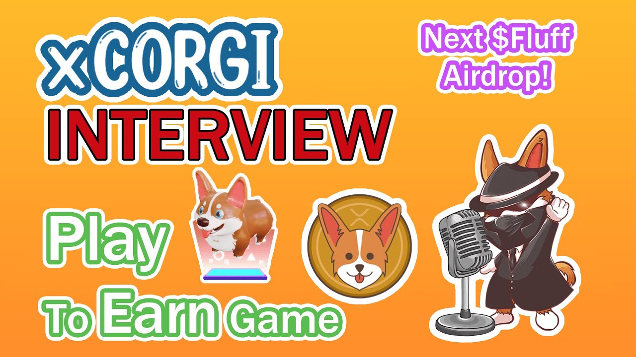 XCorgi Interview - Announcement - New XRPL Project - Coin XCorgi ...