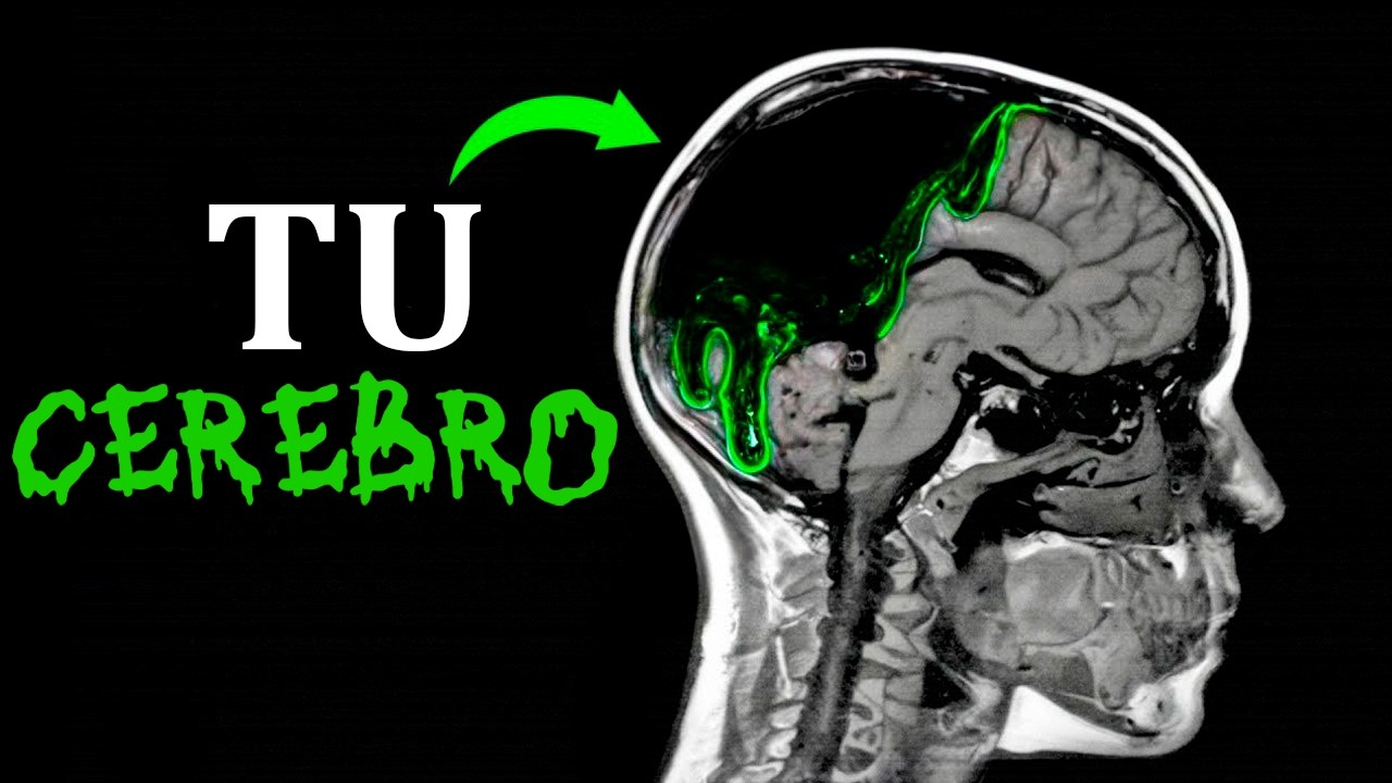 Este Es Tu Cerebro En El Arte Semana Del Cerebro