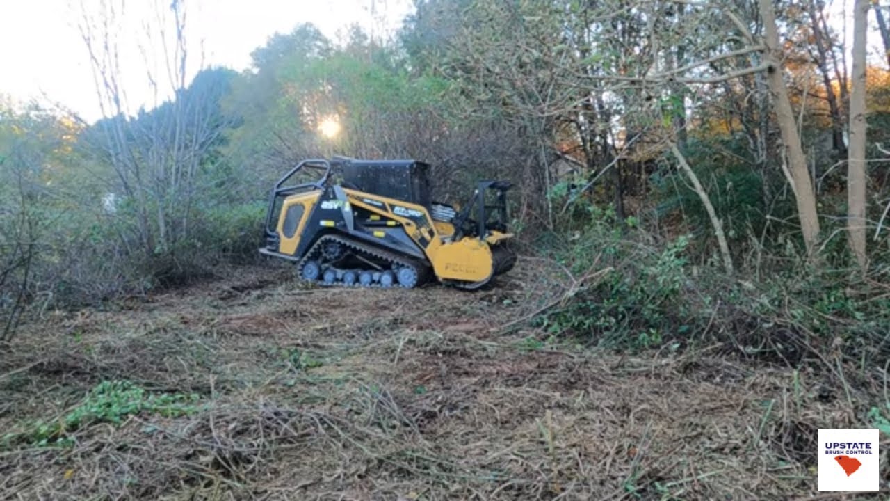 Forestry Mulching Underbrush and Small Trees - YouTube