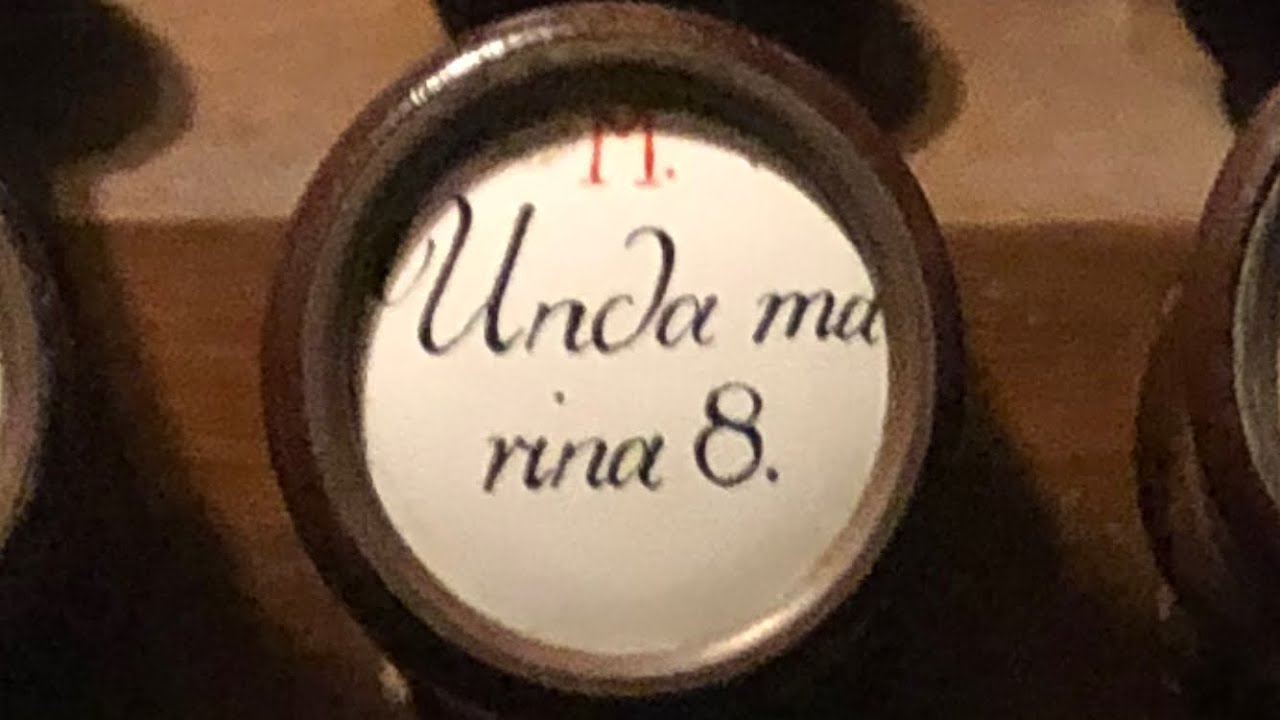 Unda marina 8’ (Unda maris 8’) | pipe organ stop - YouTube
