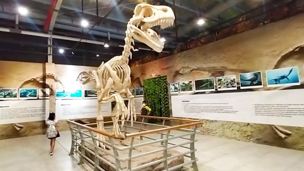 Bertemu Dinosaurus di Dinolab, Fun World, QBig, BSD | triceratops ...