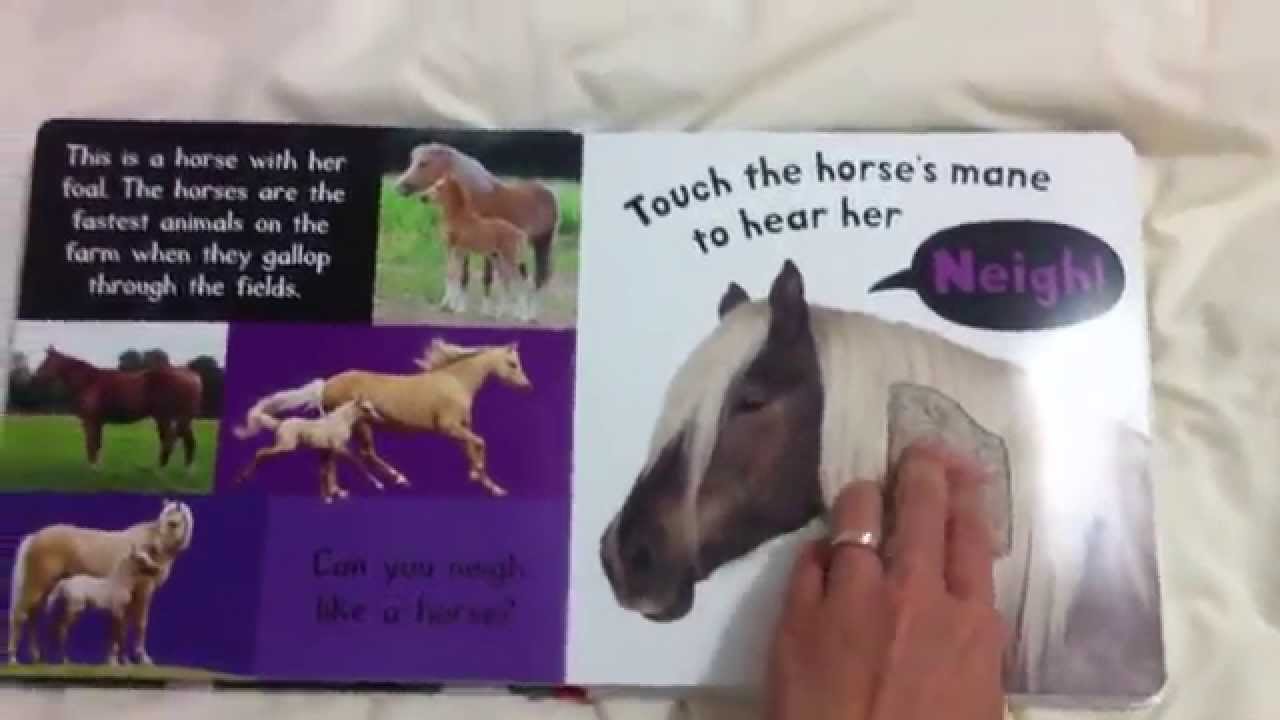 Noisy Farm. My First Touch and Feel Sound Book. - YouTube
