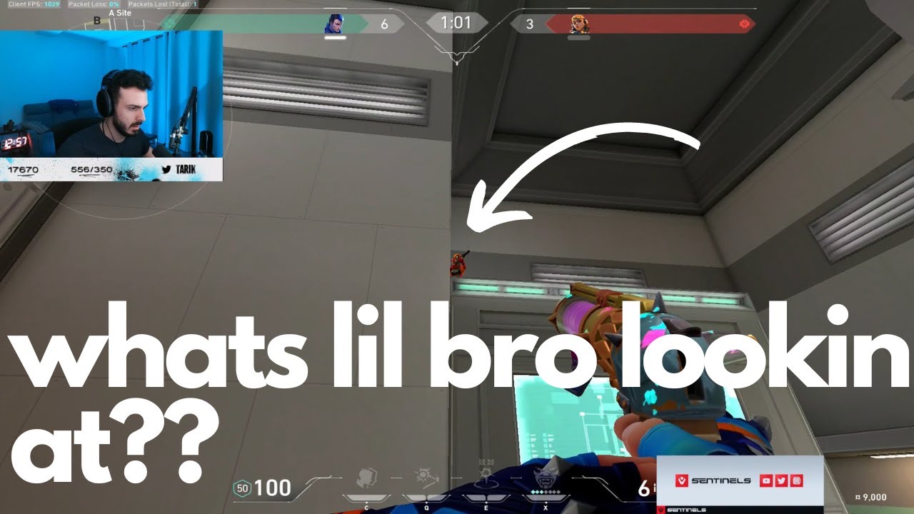 Tarik trolls Ludwig in a 1v1 Valorant match | Tarik - YouTube
