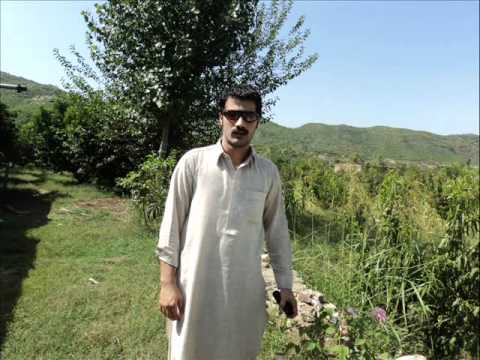 aboha swat - YouTube