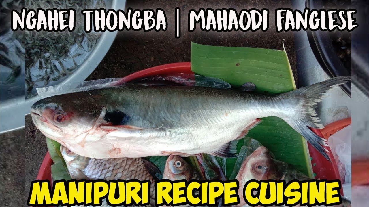 Ngasidi Ngahei Khara Thongjaba! 🫰😁 - YouTube