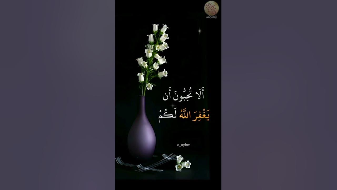 وَلْيَعْفُوا وَلْيَصْفَحُوا ۗ أَلَا تُحِبُّونَ أَن يَغْفِرَ اللَّهُ