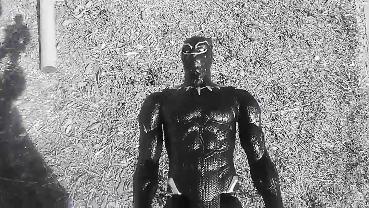 sad panther - YouTube