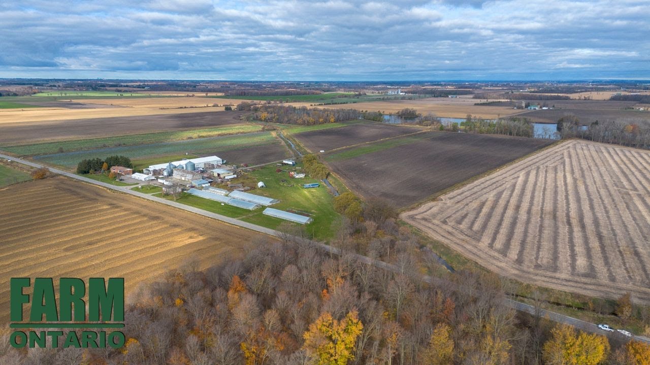 263243 Prouse Rd, Mount Elgin | Farms For Sale In Ontario - YouTube