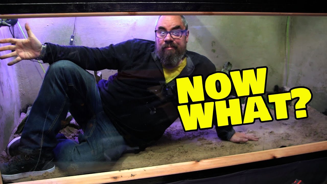 MEGATANK update - monster fish tank upgrades and repairs - YouTube