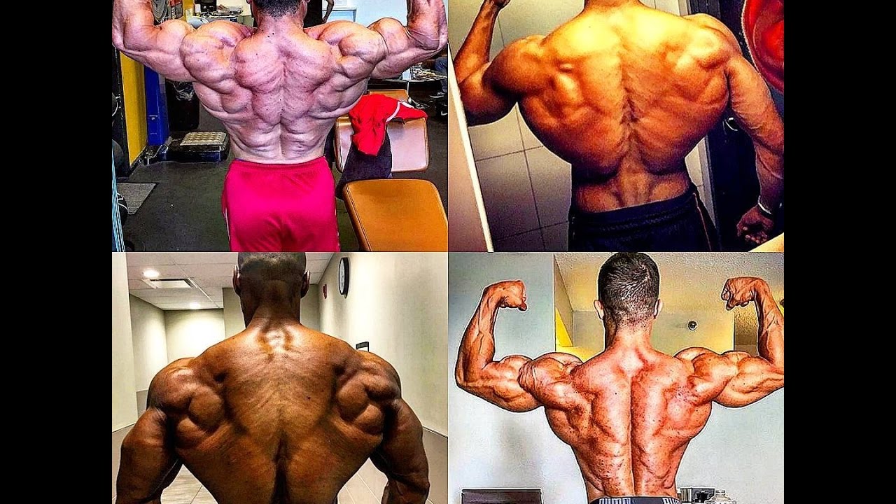THE BACK is The Most Important Bodypart ! - YouTube