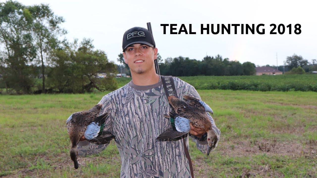 Duck Hunting: Teal Hunting 2018 - YouTube