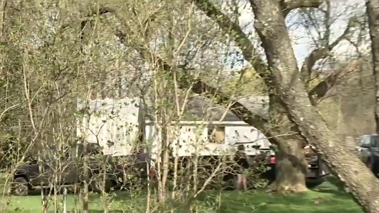 Man killed by falling tree while working in Oakland County yard - YouTube
