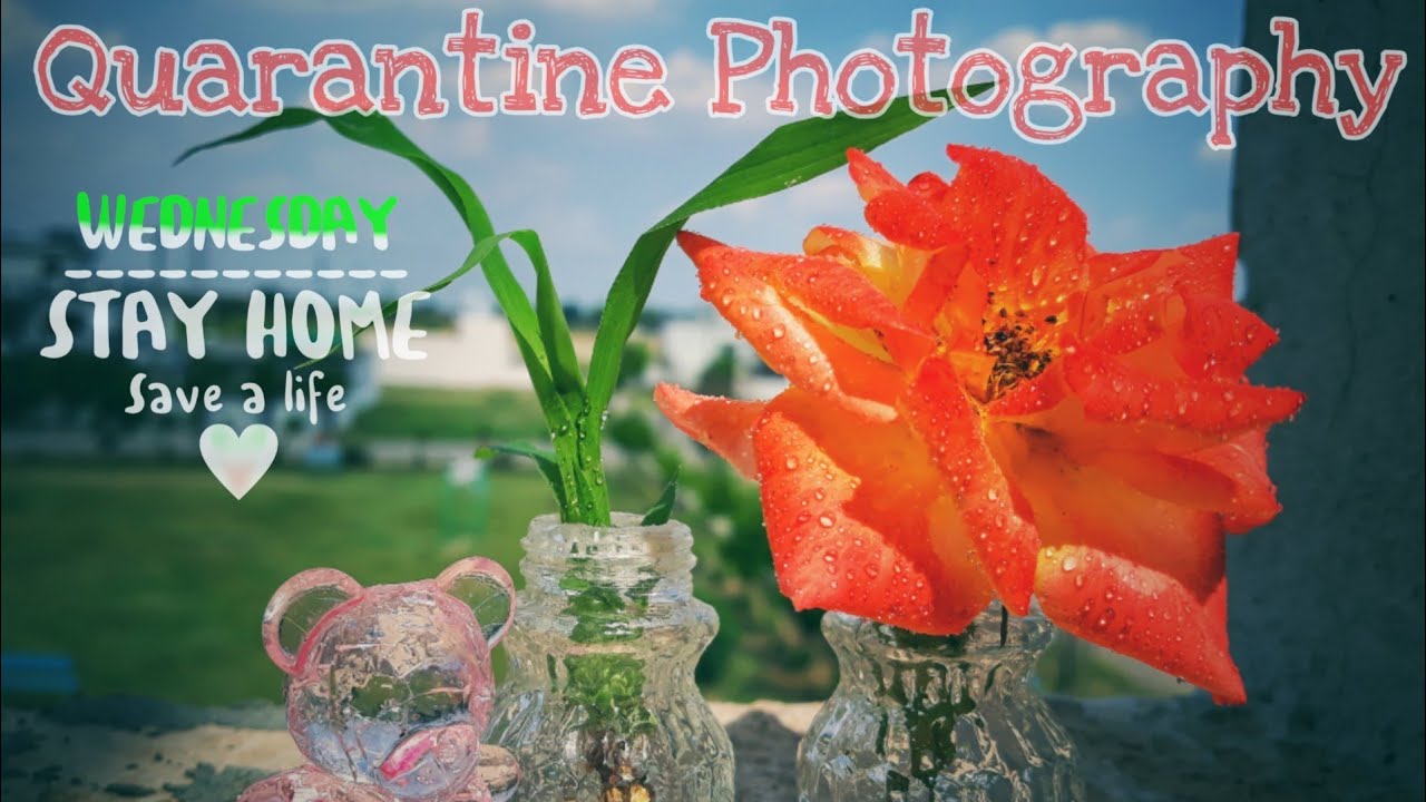 Quarantine Photography | Photography and Editing | Part 1/2 - YouTube