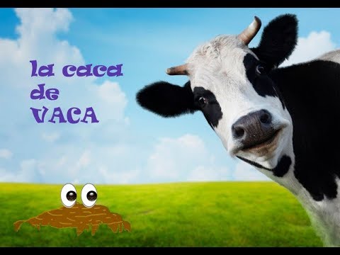 Cuenta la Caca de Vaca (resubido) - YouTube