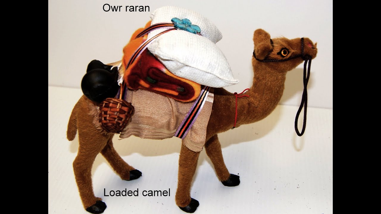 Geel - Camel - YouTube