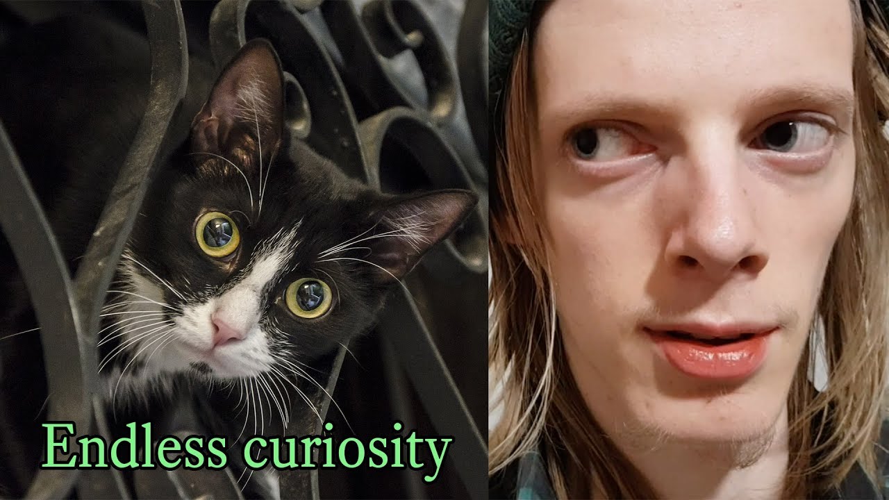 My World View and Endless Curiosity Explained - YouTube