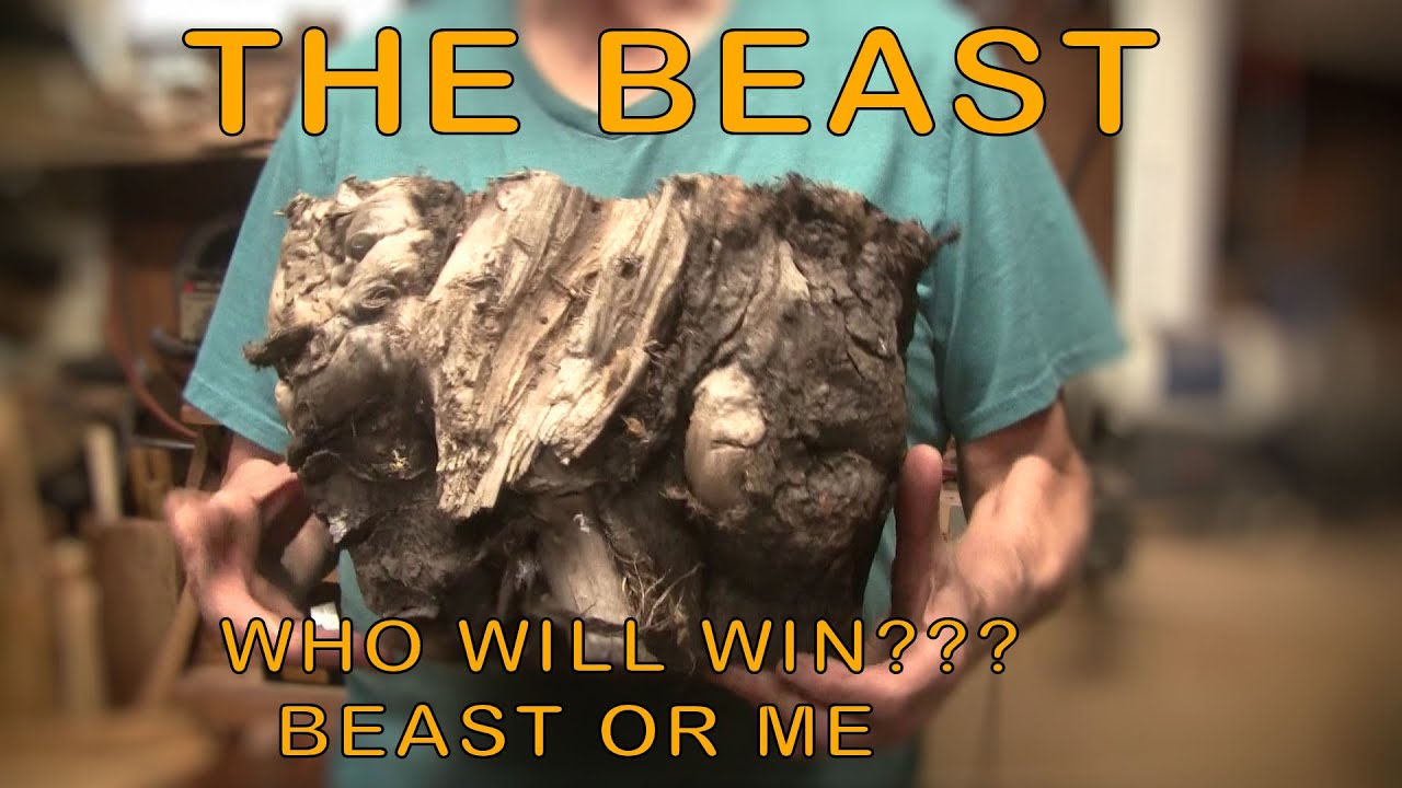 The Beast Root Ball YIKES Black - English Walnut Wood Turning - YouTube